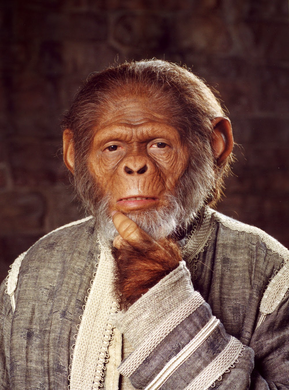 Archives Of The Apes: Archives Of The Apes