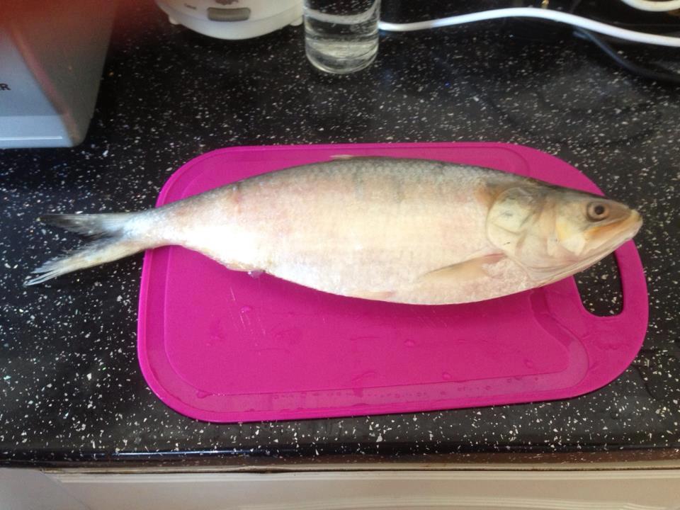 Snig's Kitchen: Elish Maanch Dupiaza - Bengali Fish Curry: A Guest Post ...