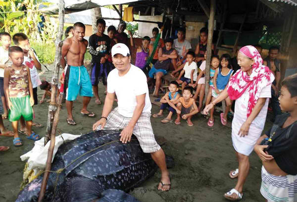 Barangay Reporter: Endangered Turtle 'Maltreated' in Samar Barangay - DENR