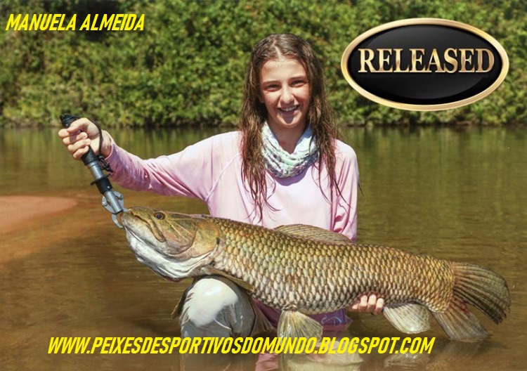 PEIXES DESPORTIVOS DO MUNDO: O TRAIRÃO - Hoplias macrophthalmus ...