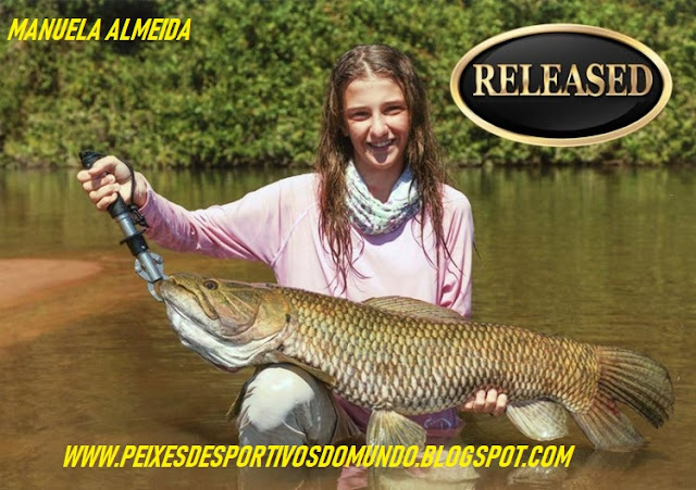 PEIXES DESPORTIVOS DO MUNDO: O TRAIRÃO - Hoplias macrophthalmus ...