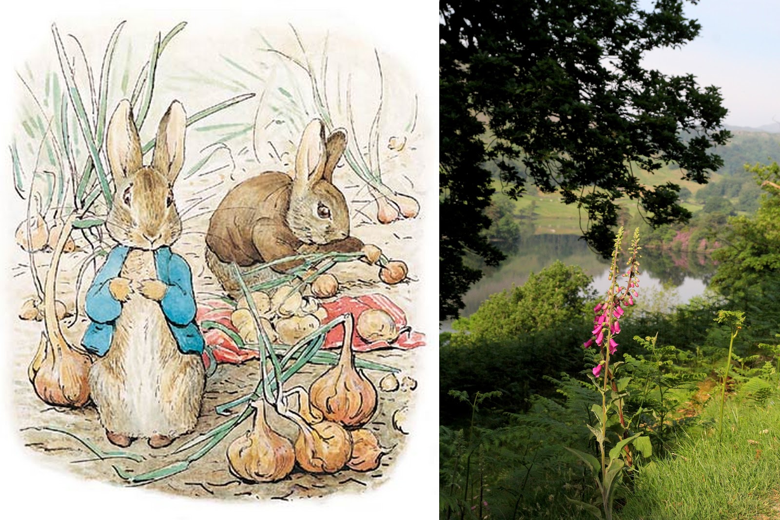 Madelief: Beatrix Potter's Lake District