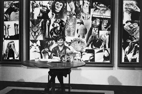 Hablas De Todo Un Poco...: Mi Top 10 De Programas De TV De Los 90