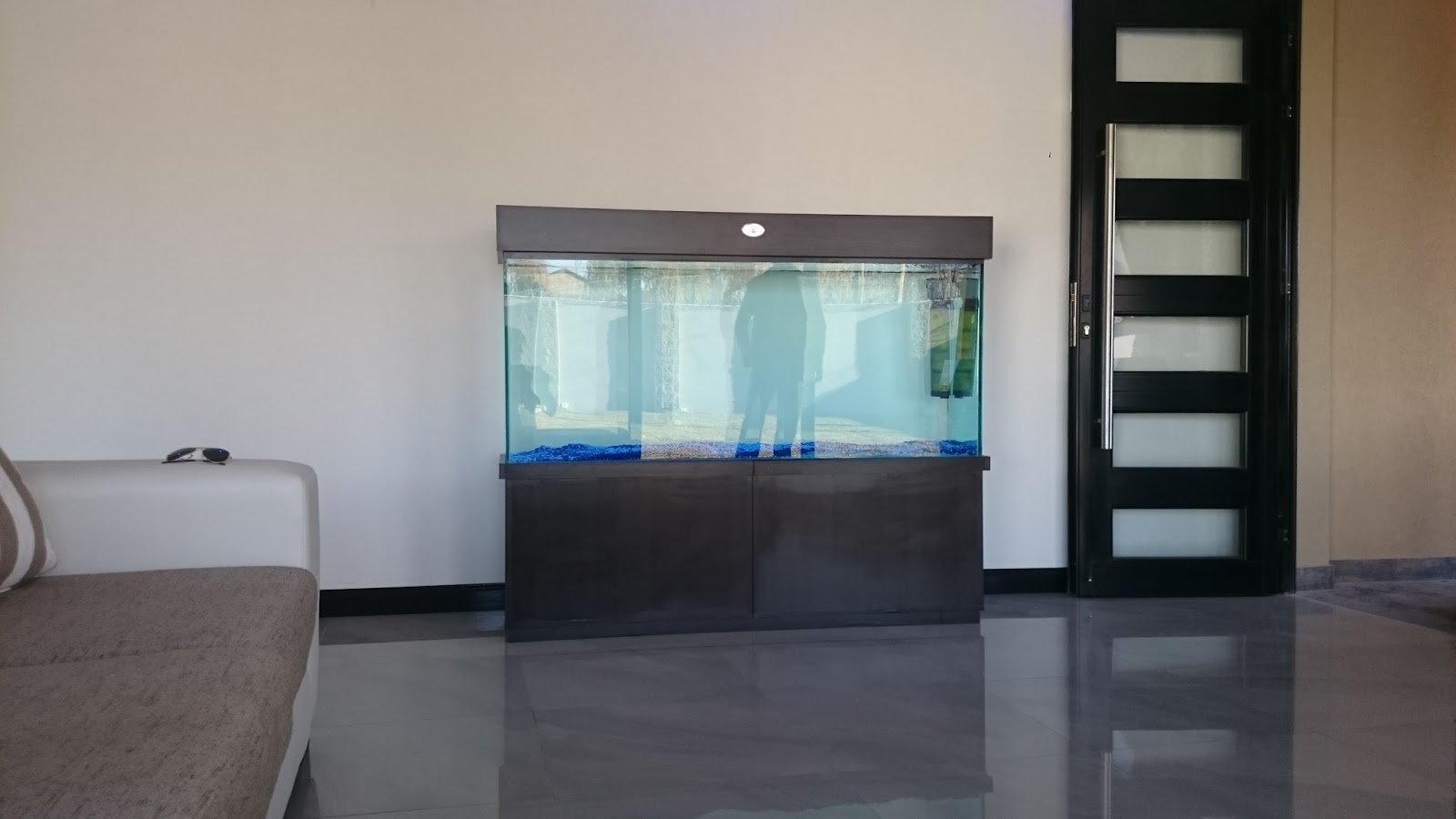 DecorpezWeb: GUÍA DE PECERAS