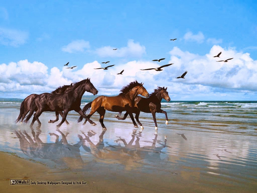 Caballos en la playa | imagenes para enamorados