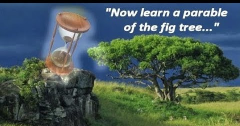 What Is the Parable of the Fig Tree About?