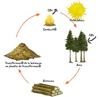 Pengertian Biomassa dan Pemanfaatannya | La Tahzan