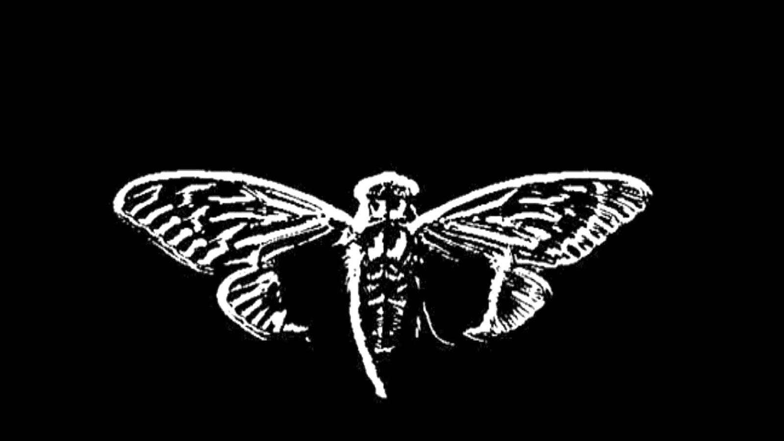 Dicas do Jess: [Curiosidades] Cicada 3301