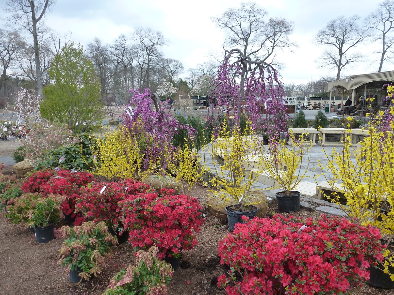 Jarvis House: Martin Viette Nurseries a Place for Gardeners