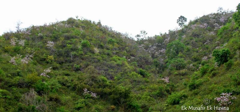 Ek Musafir Ek Hasina: Musafir & Hasina's Great Kullu Adventure Part 5 ...