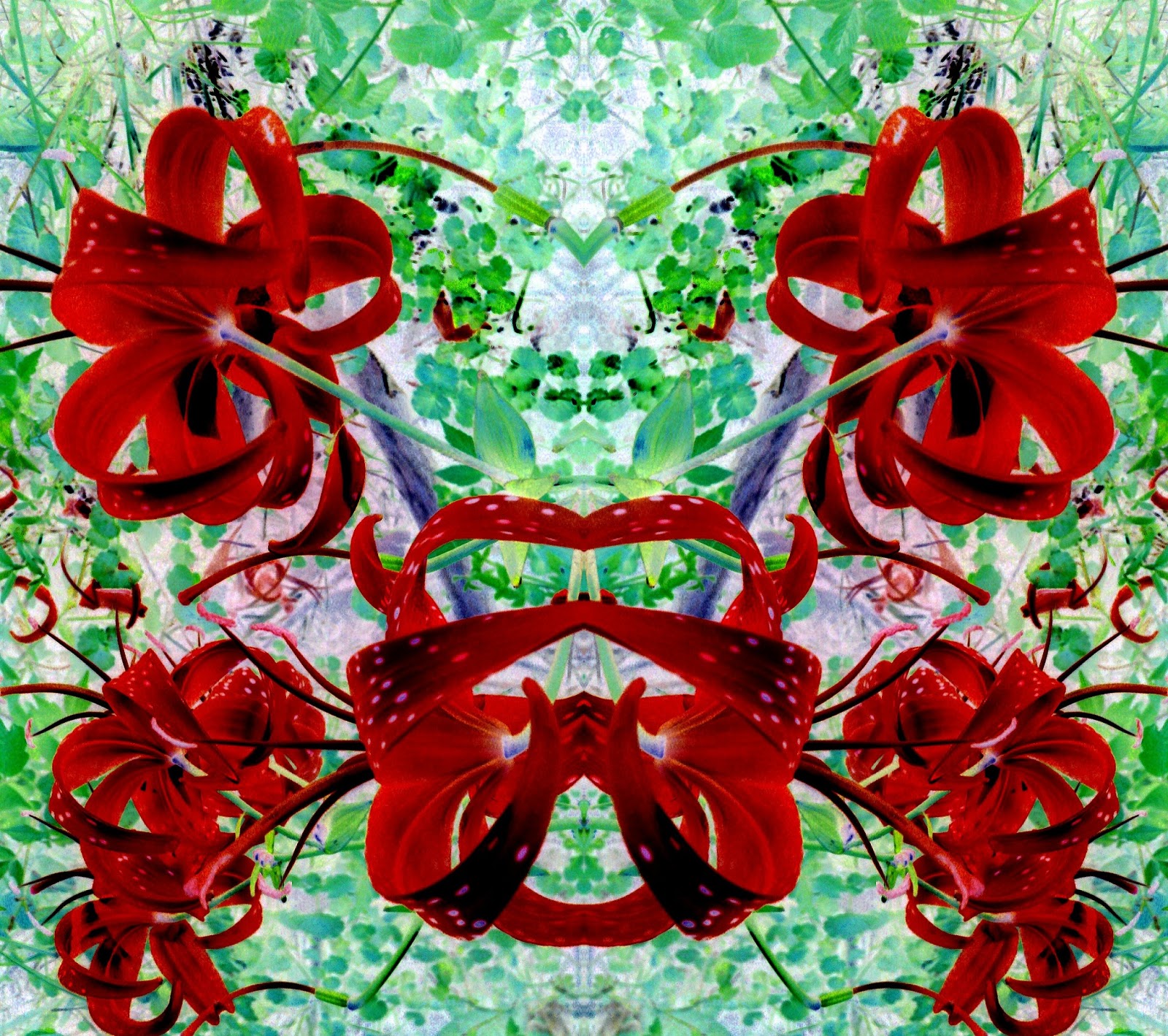 MarianneDowFoto Blog - Art Photography by Marianne Dow: Hey Lily, Is ...