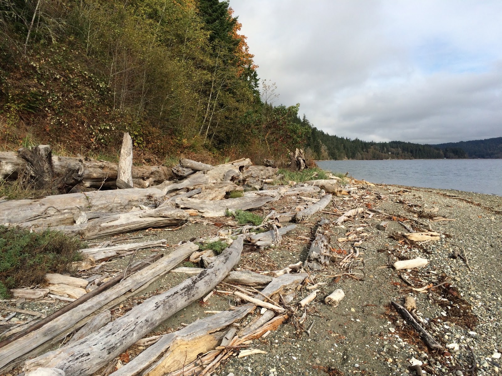 Gravel Beach: Dabob Bay