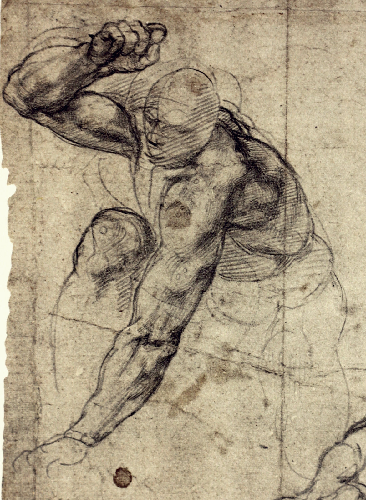 Michelangelo | Arms and Hands Study | Tutt'Art@