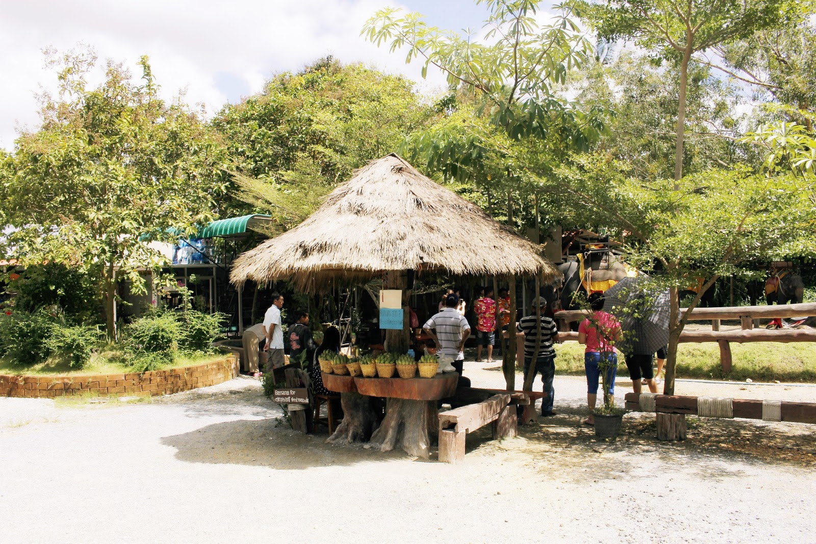 Traveling Ke Chang Puak Camp Hatyai Thailand - WEB | LOVEHEAVEN 07