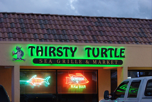 305 Misadventures in the MIA: The Thirsty Turtle