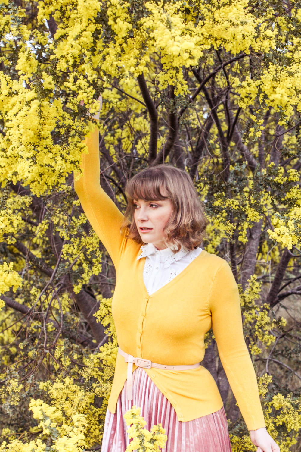 Wattle and Velvet - Finding Femme