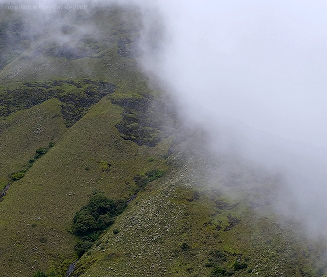 Journey of Joy: Mukurthi - where the mountains touch the sky!
