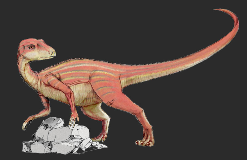 Dinosaurios: Abrictosaurio