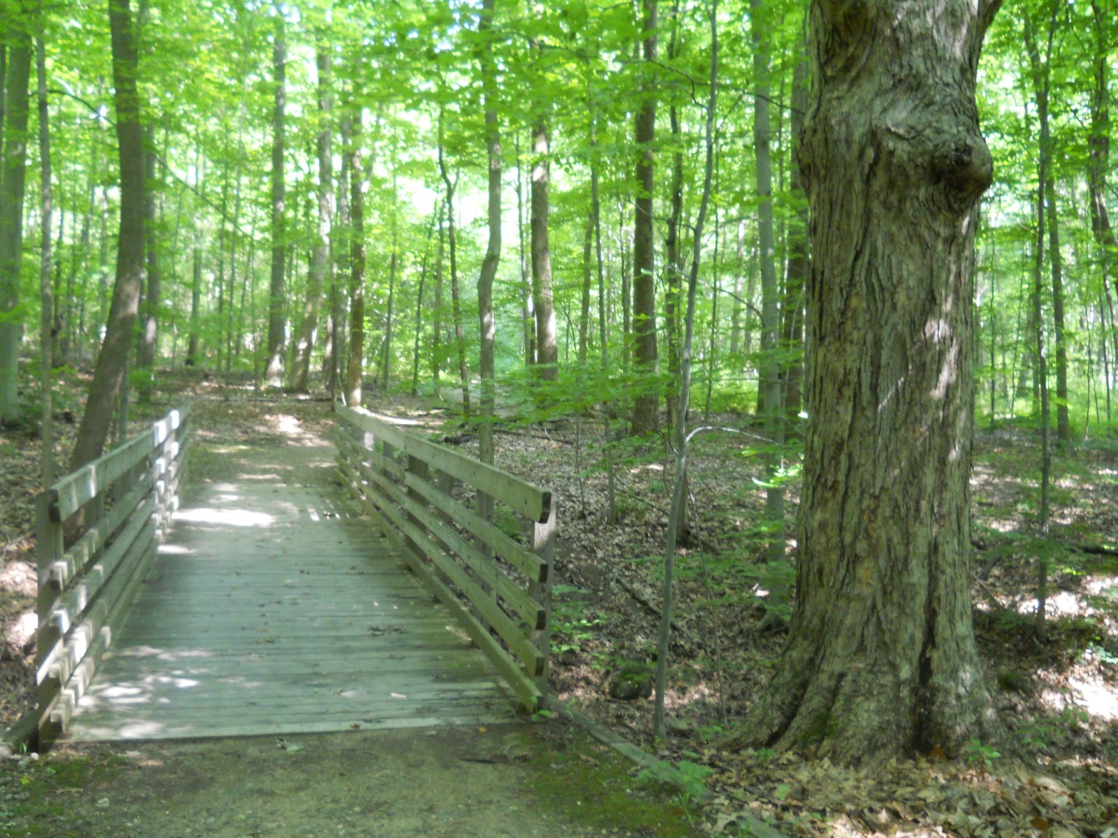 Running Wild: In Search of Happiness, Health and Helping Others: Ohio ...