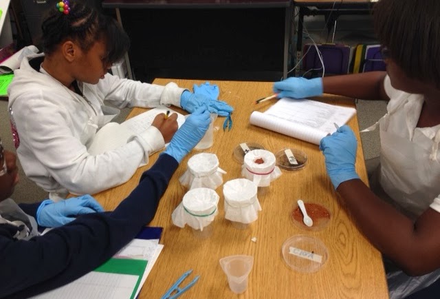 Mr Hill's Science Lab: Which Soil Holds More Water