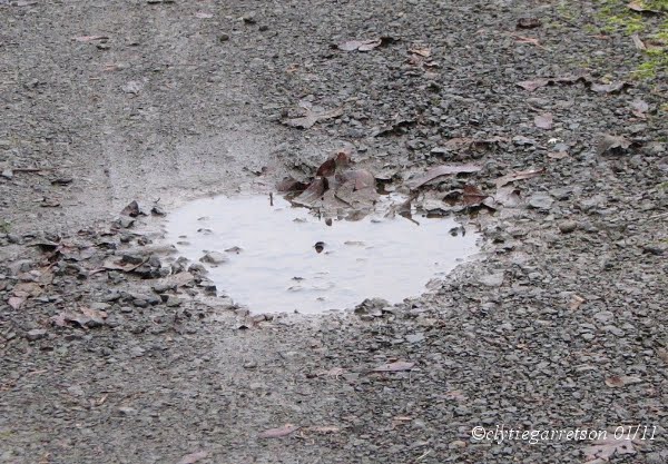 Random Hearts: Mud Puddle Heart - Weekend Reflections
