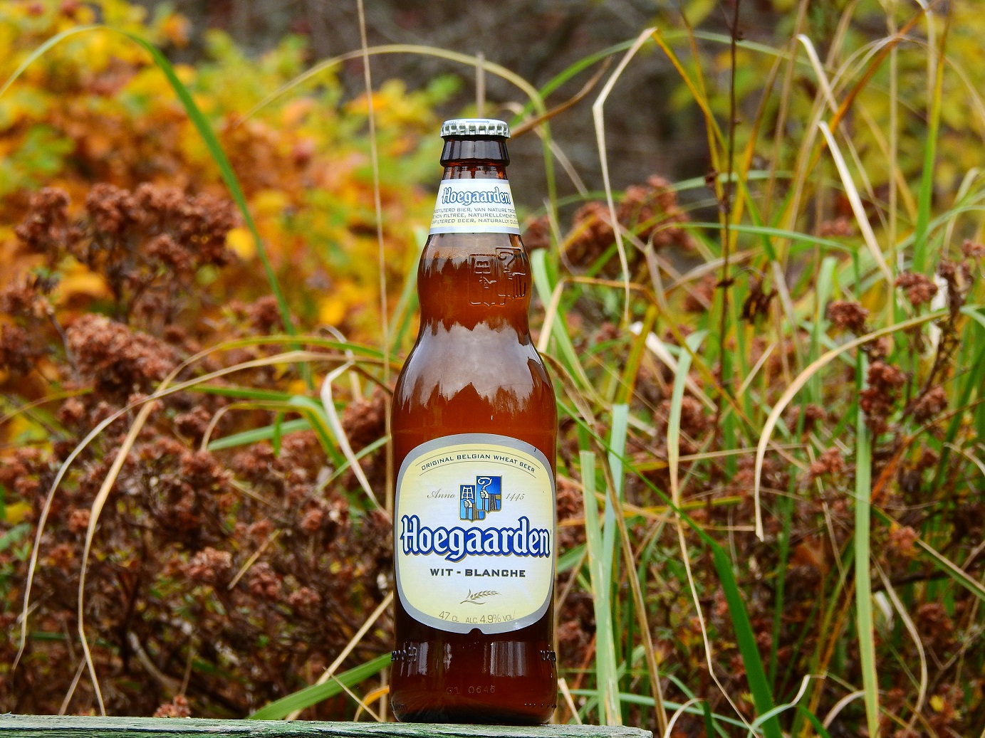 Soapbox photos: Beer Hoegaarden in garden