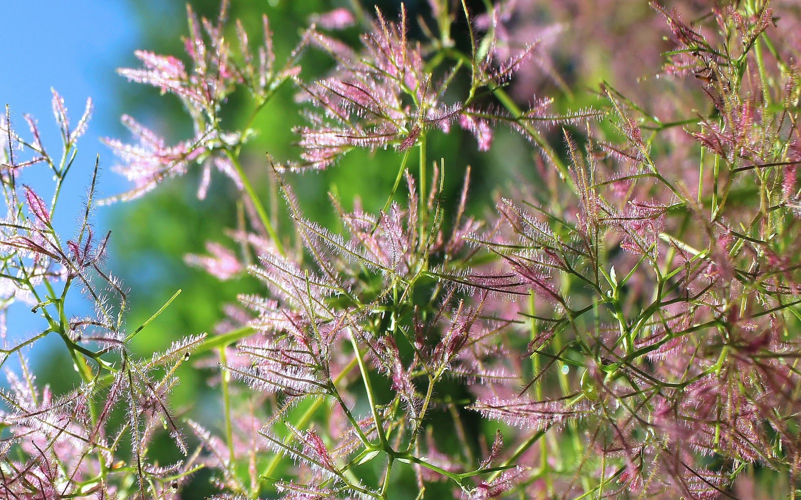 Travel & Adventures: Moscow, Russia, four seasons. The Nature of Moscow ...