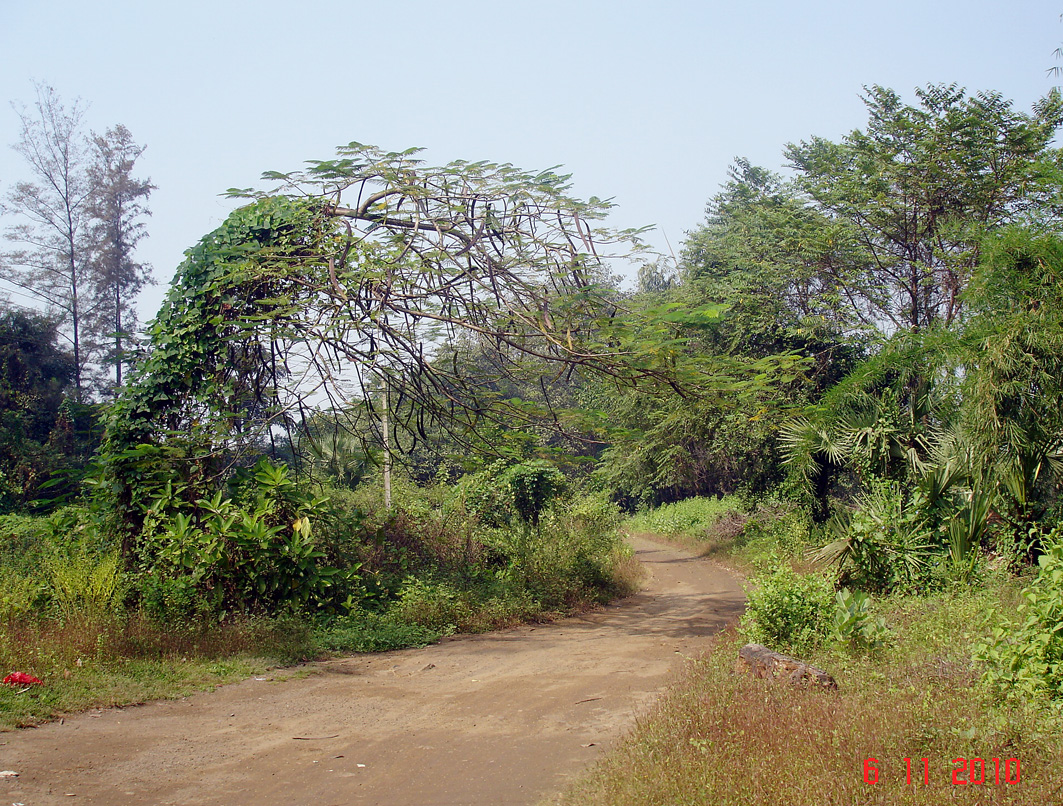 A Quick Escape to Alluring Alibaug ~ TerraHopper