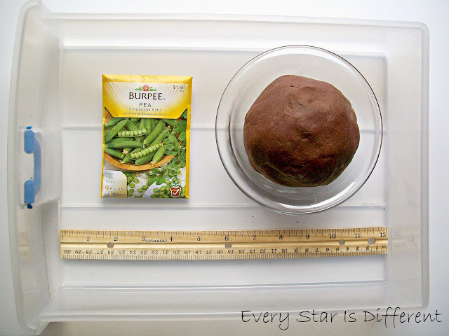 Earth Day Vegetable Garden Unit with Free Printables - Every Star Is ...