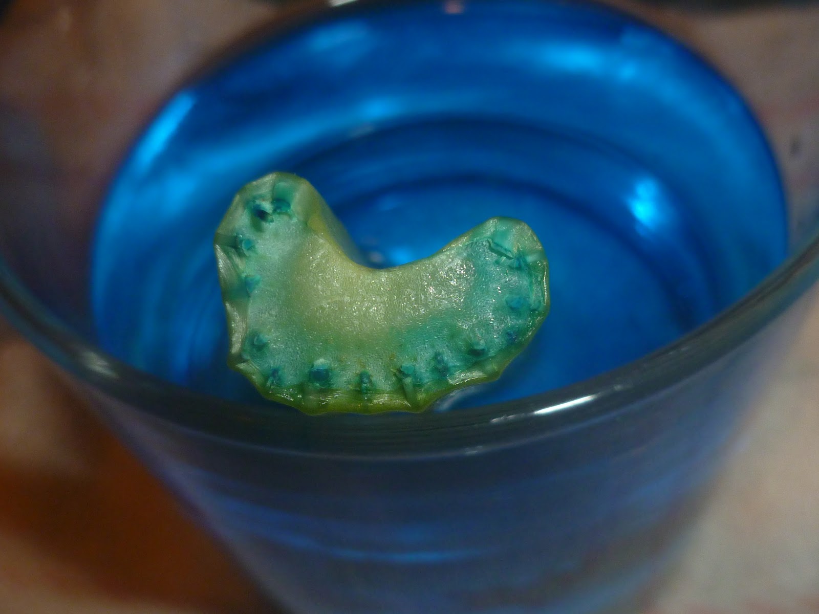 LETTER "C" WITH A SCIENCE EXPERIMENT! - Mama to 6 Blessings