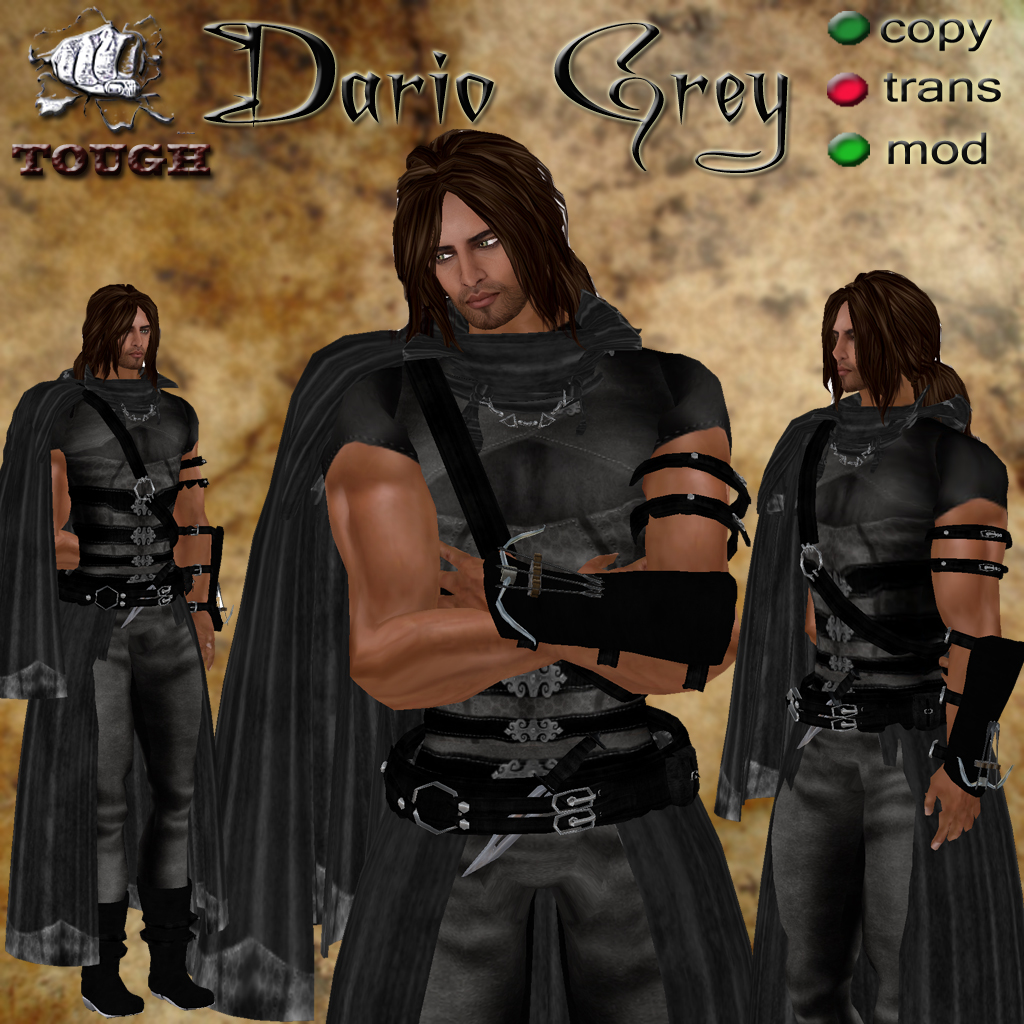 TOUGH! Gorean Men: The allround Master: Dario