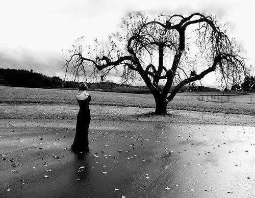 Imagenes de paisajes sin color - Imagui