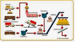 LA MADERA : Producción y Transformación