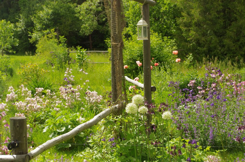 roos on roos: Kurekellasatsiline...