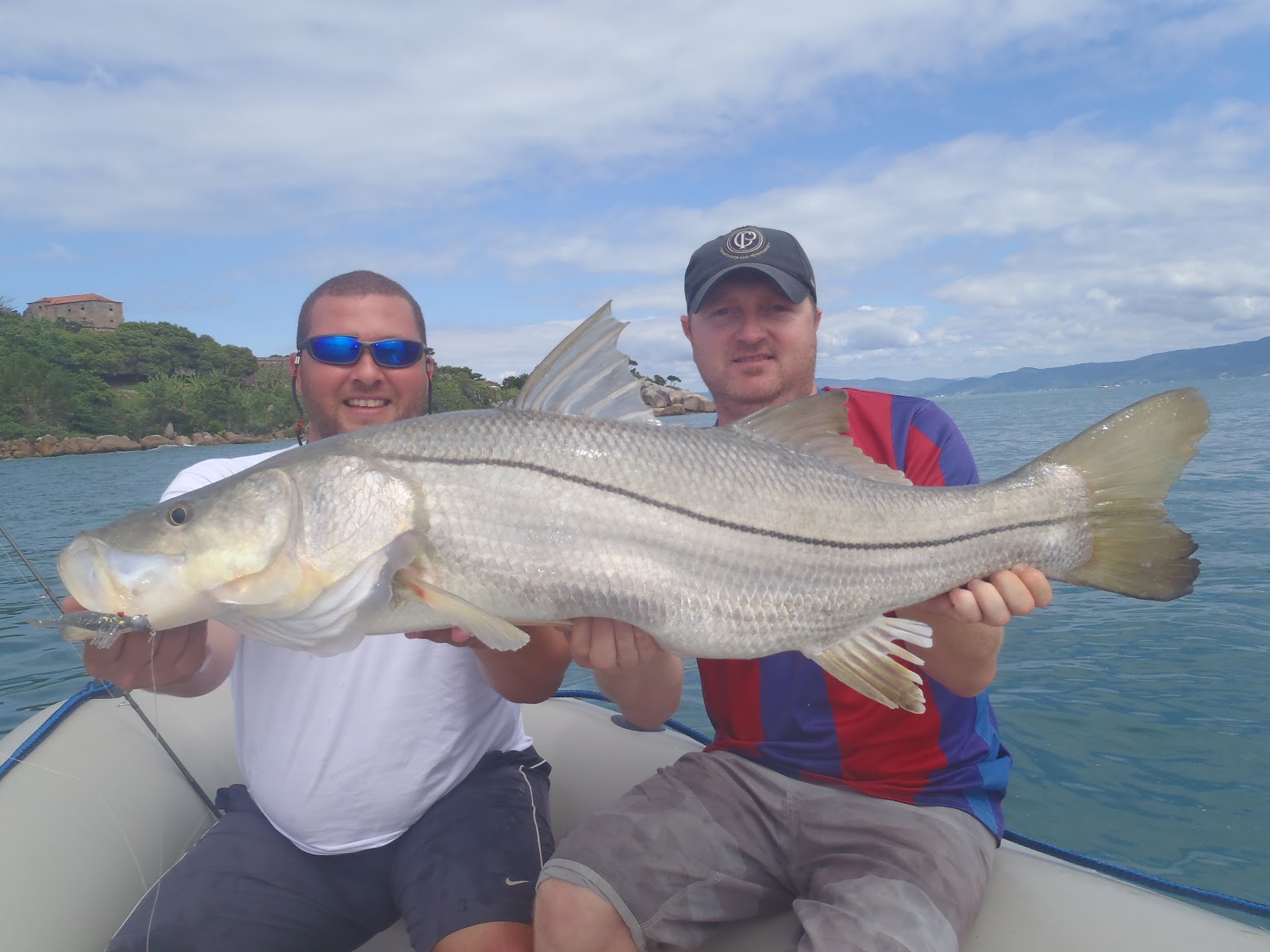 Pescaria e Carpintaria: Robalo Flecha 15KG Florianópolis