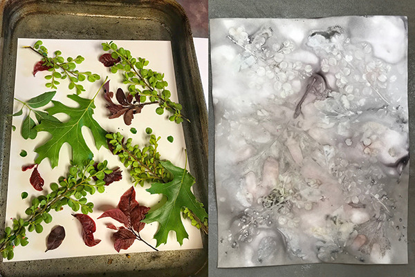 Creating Beyond The Layers: Eco Printing on Paper