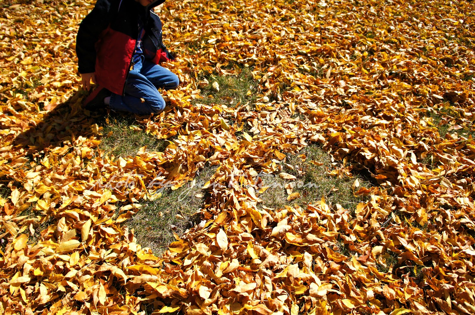 Runner Mom: Seasons...