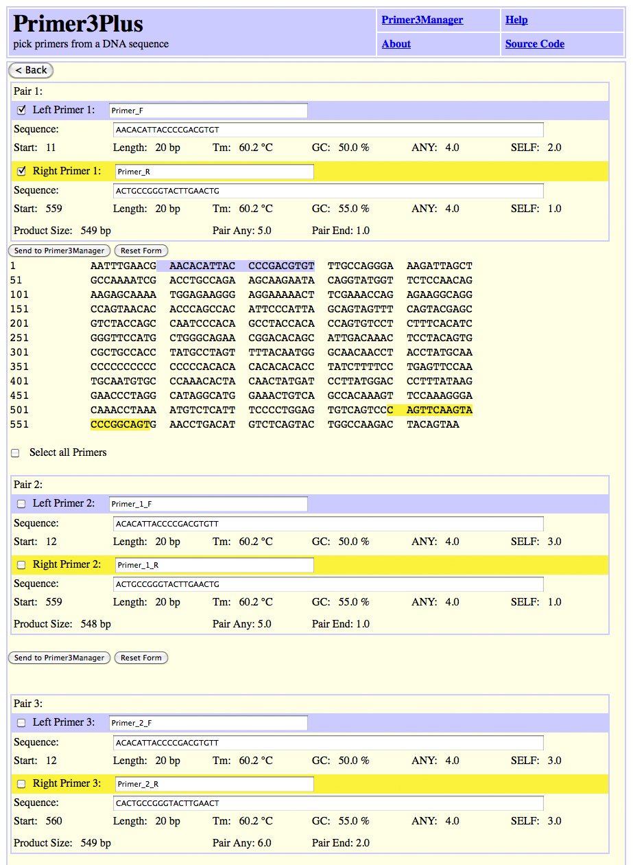 Bioinformatics : Making Primers, Pt I