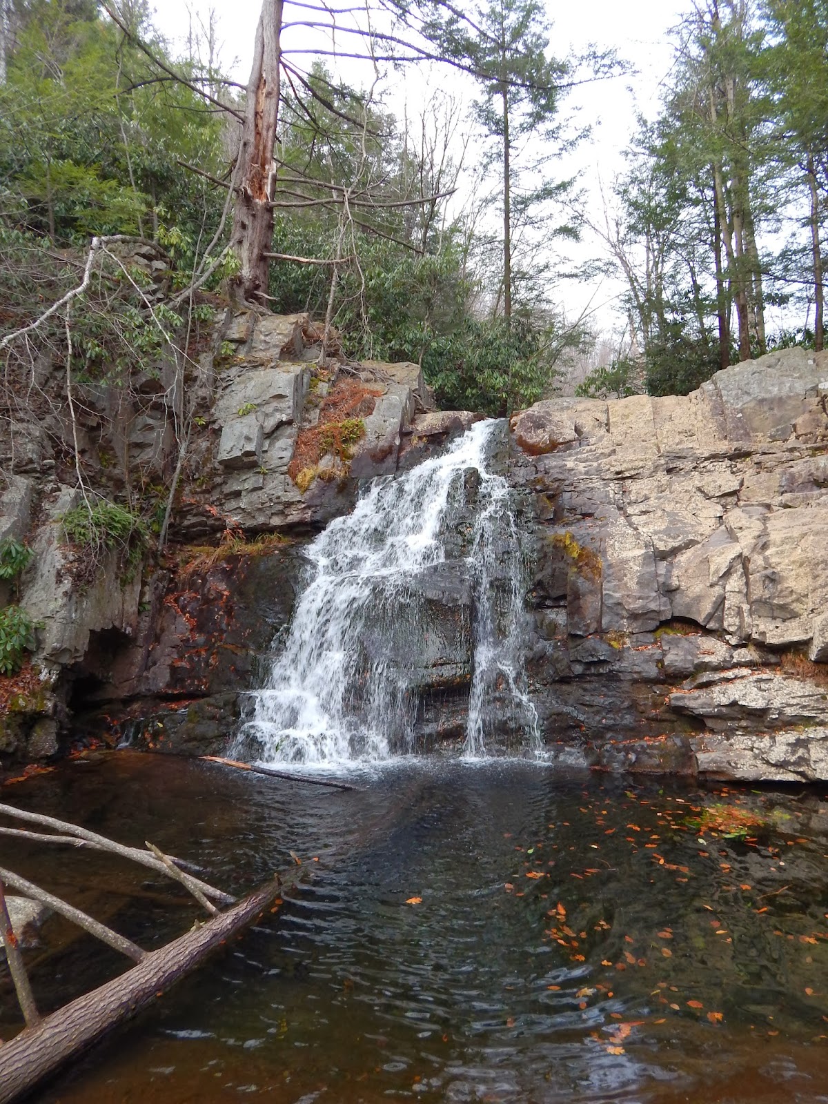 Those Who Wander: Hawk Falls Trail