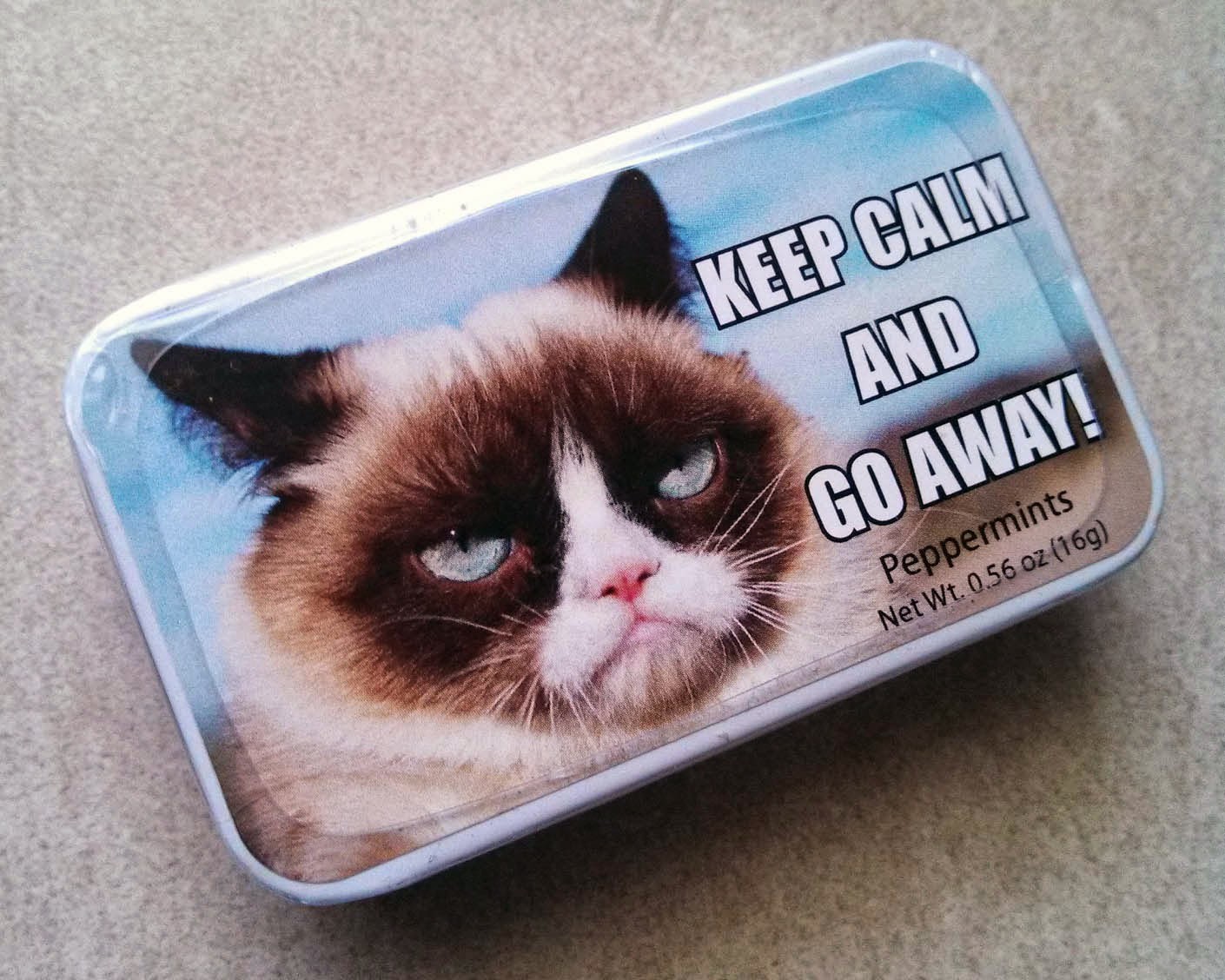 Calm Grumpy Cat