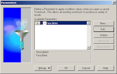 Oracle Uygulamaları: Oracle Discoverer Desktop - Örnekler