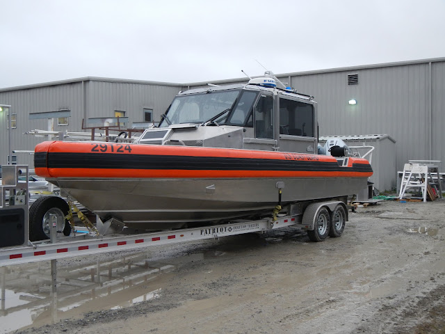 Double Webbie Single Shark: A Quick Update by Eric