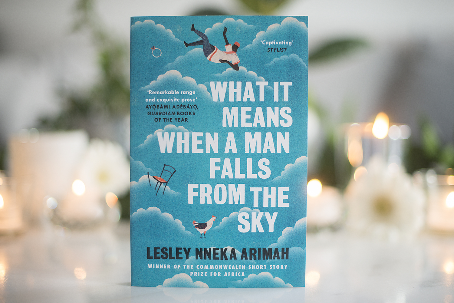 BOOK REVIEW: WHAT IT MEANS WHEN A MAN FALLS FROM THE SKY BY LESLEY ...