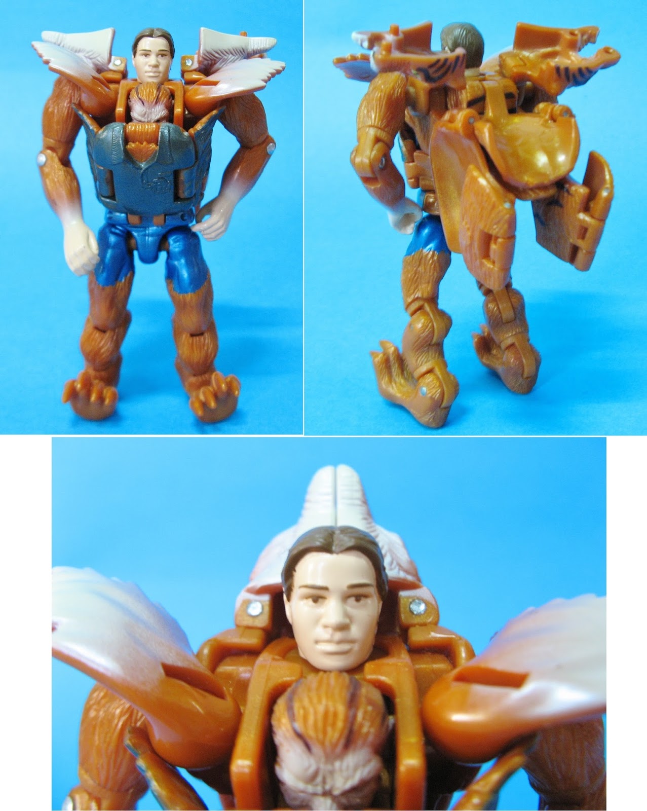 ANIMORPHS Transformers : JAKE/TIGER變獸戰士 : 亞積/老虎