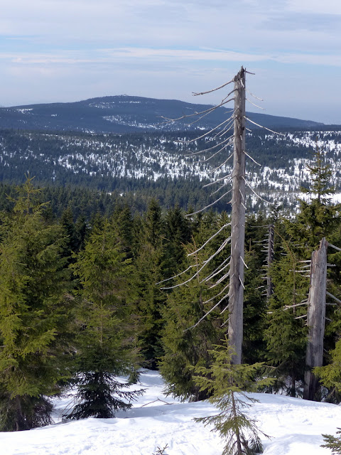 Naturwunder ...: Skitour über den Hinterberg