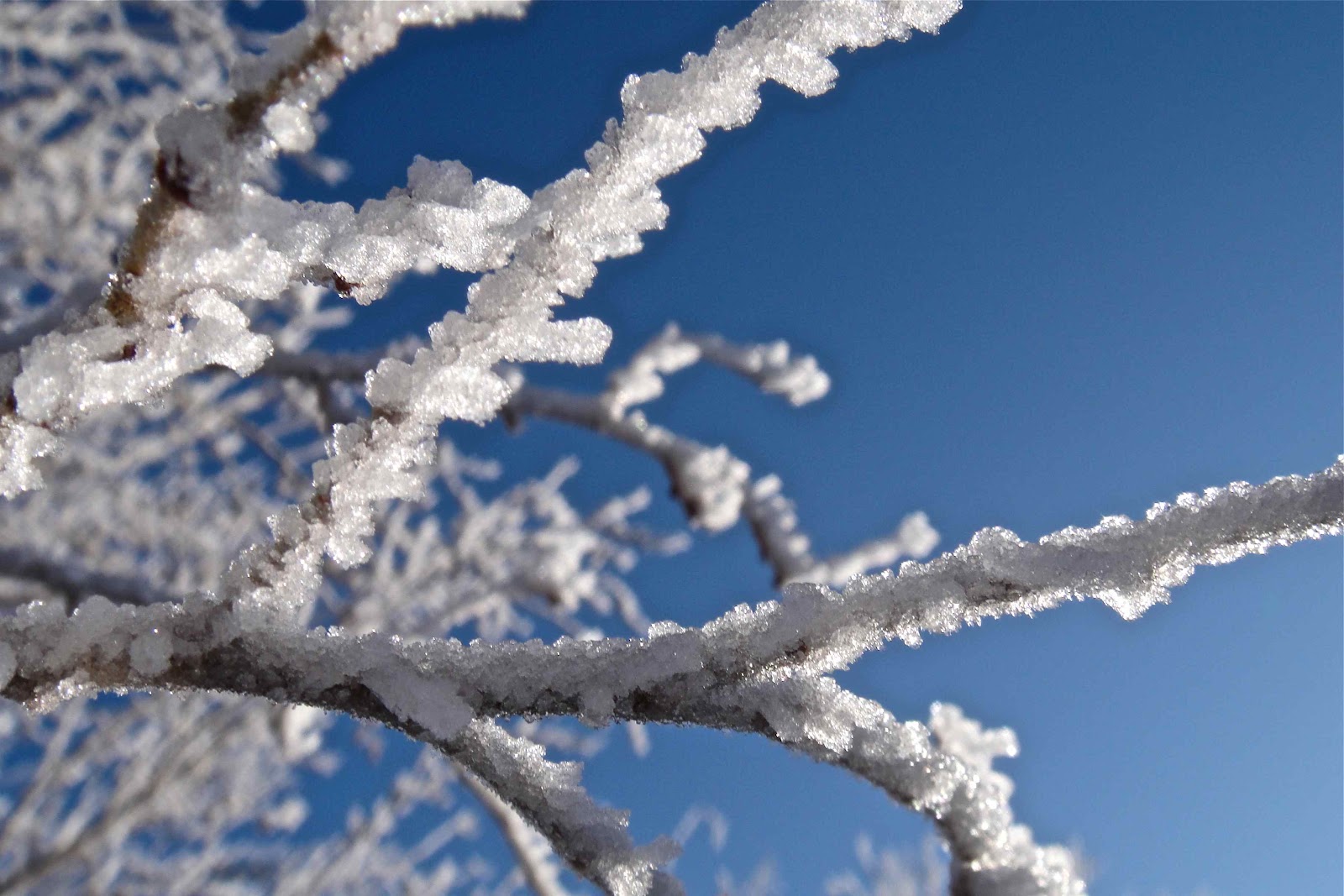 Poetry Of Spirit And Light: Air Hoar And Snow Melt Poetry