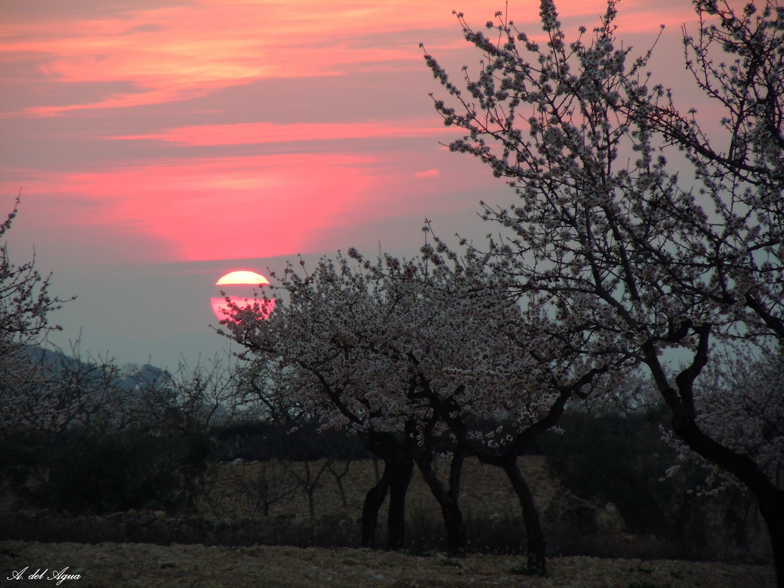 ANADELAGUA: SOL ROJO
