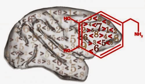 Helge Scherlund's eLearning News: Dopamine helps with math rules as ...