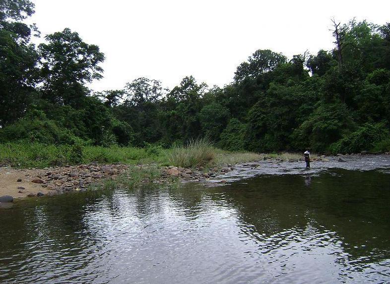 Tamilnadu Tourism: Kalikesam Forest & Waterfalls, Kanyakumari