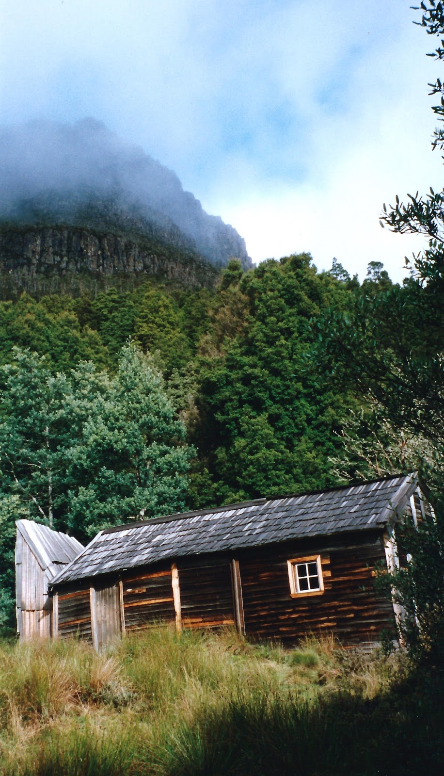 Goin' Feral One Day At A Time: Kia Ora Hut to Windy Ridge Hut, Overland ...